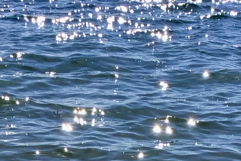 Le Noble Octuple Sentier – Portail Dhamma